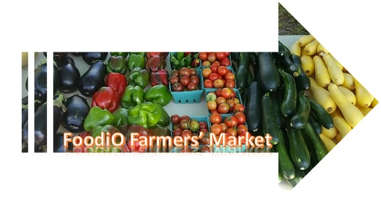 Vegan Roasted Eggplant - FoodiO | Empowering people through food